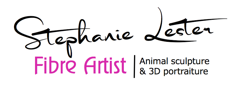 Gallery - Stephanie Lester Fibre Artist - 3D portraiture & Sculpture